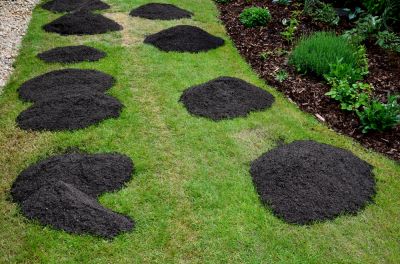 Premium Expert Topdressing Services for Healthy Lawns